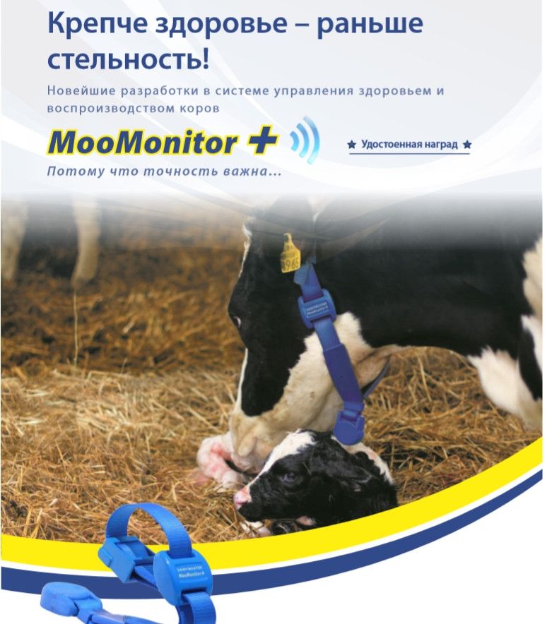 Smart ошейник . (Moo Monitor) Dairymaster в Ташкенте, цена 120 от ...